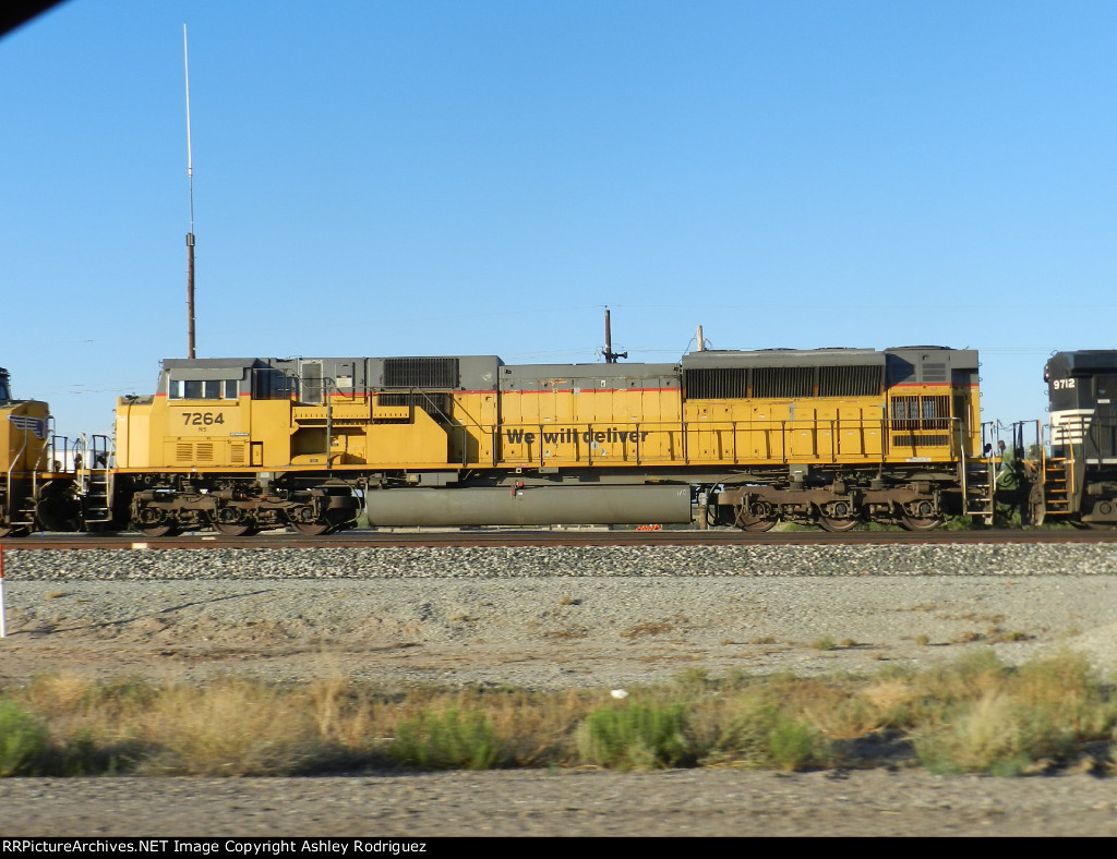 NS 7264